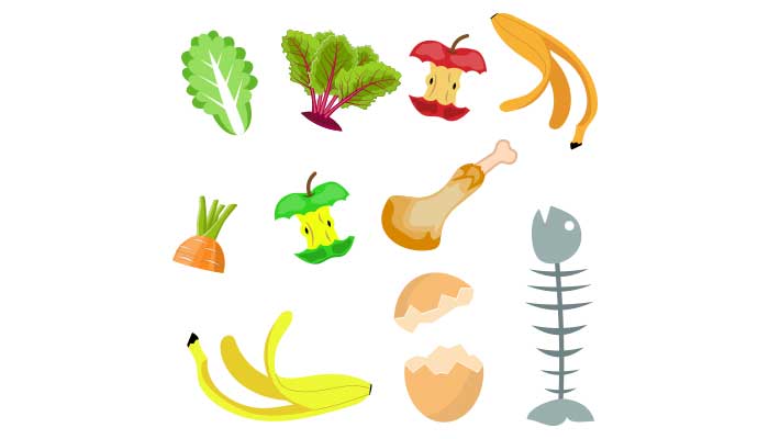 Unusual Food Waste Inventions