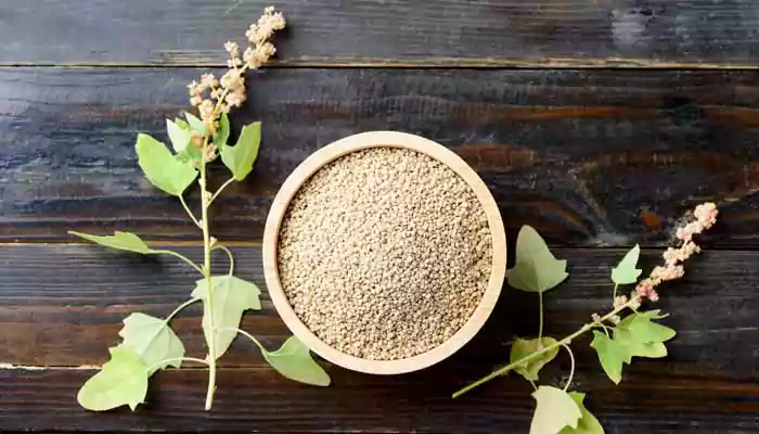 Quinoa: Nutritional Value, Health Benefits, and Side Effects