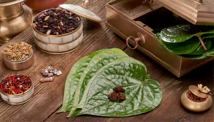 Betel leaves: why is it important for your health?