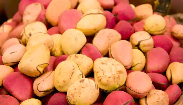 Health benefits of Kola nuts