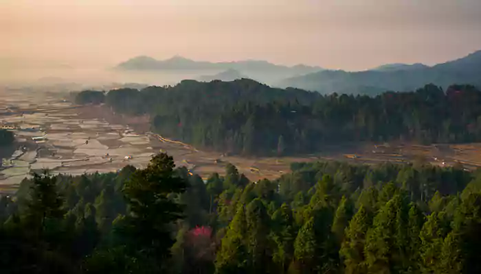Why Ziro should be on top of your bucket list